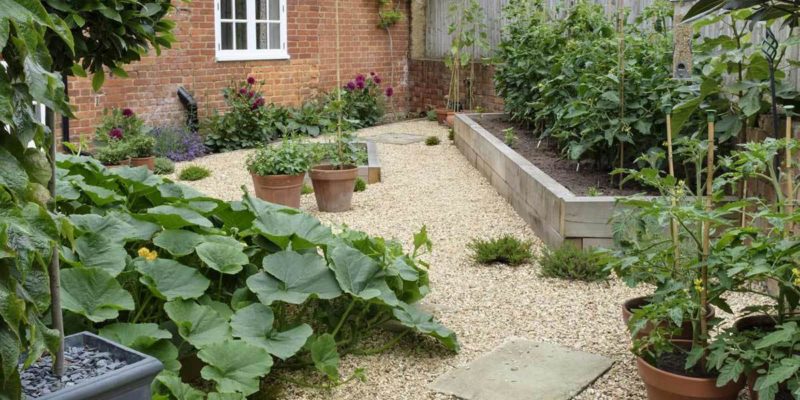 How To Plant A Vegetable Garden - Garden Made Simple