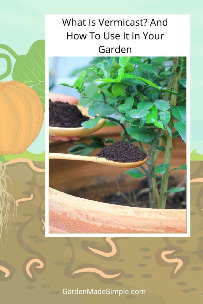 What Is Vermicast? [And How To Use It] | Garden Made Simple