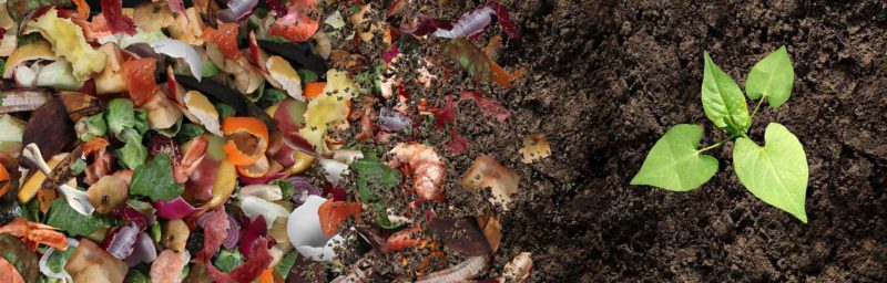 What Everyone Should Know About Unfinished Compost - Garden Made Simple