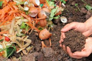 What Everyone Should Know About Unfinished Compost - Garden Made Simple