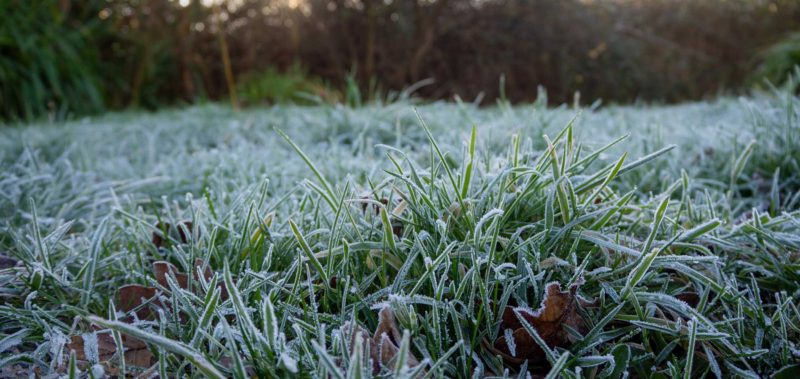 How To Keep Your Lawn Looking Beautiful After Winter - Garden Made Simple